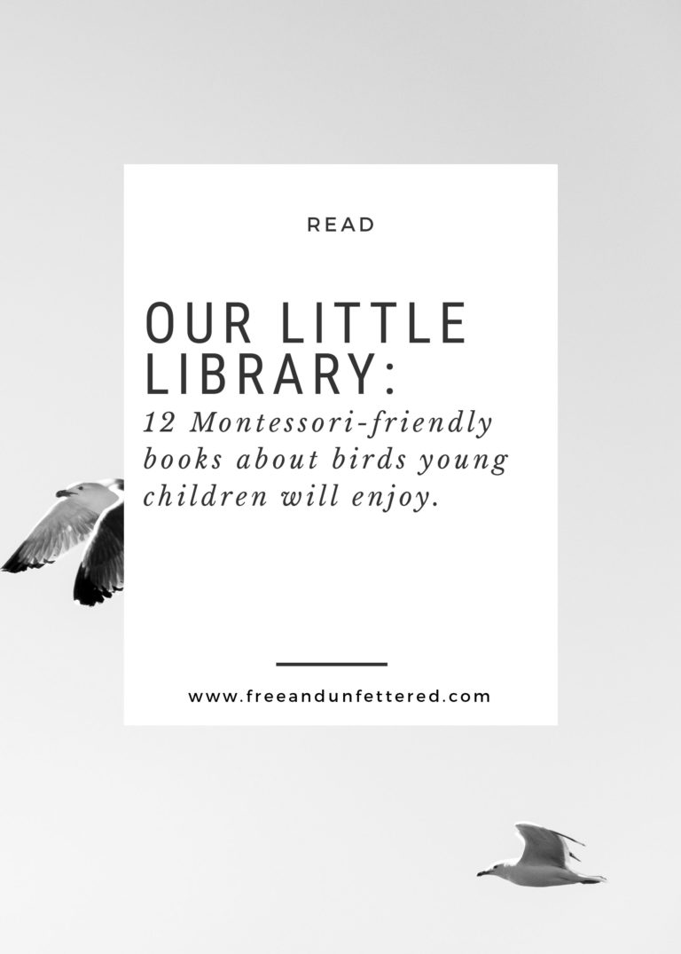 Little Library: 12 Favorite Montessori-Friendly Books about Birds ...