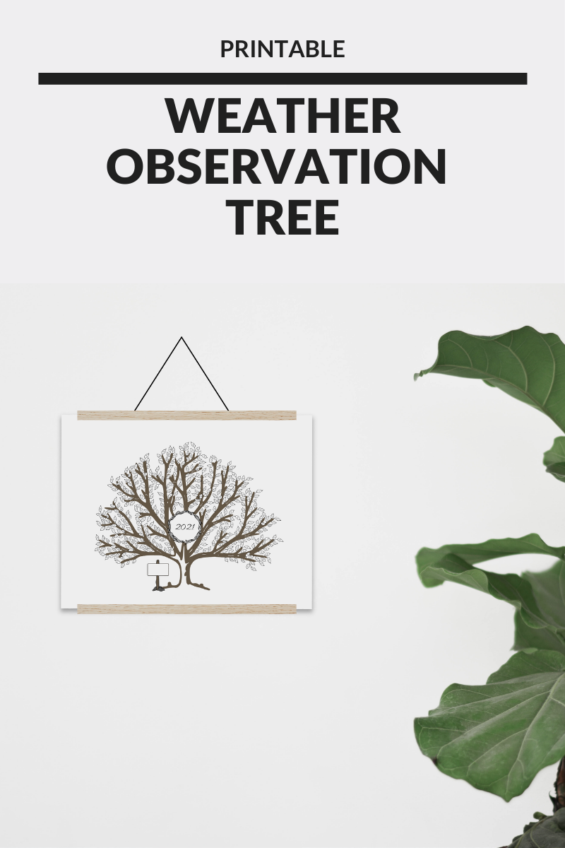 Shop - Free and Unfettered