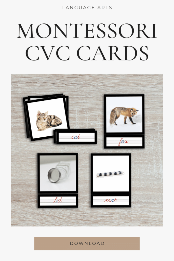 CVC Words with Pictures: Free Cards - Free and Unfettered