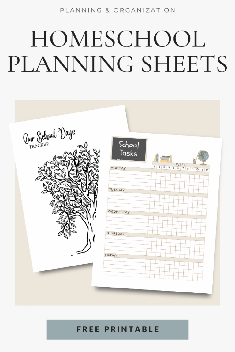 Our 6th Grade Homeschool Curriculum Choices - Free and Unfettered